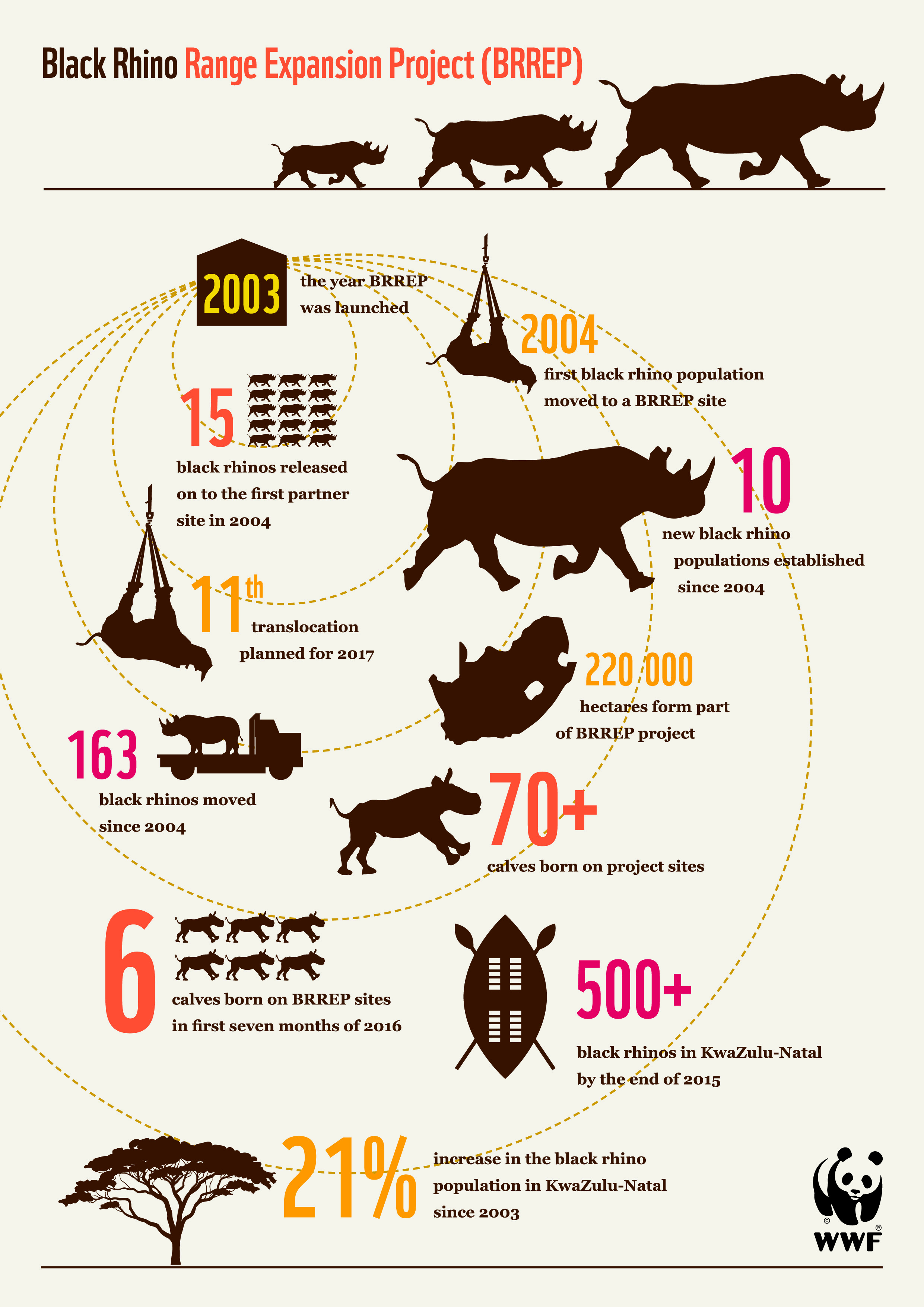 Spotlight on black rhinos for World Rhino Day | WWF South Africa