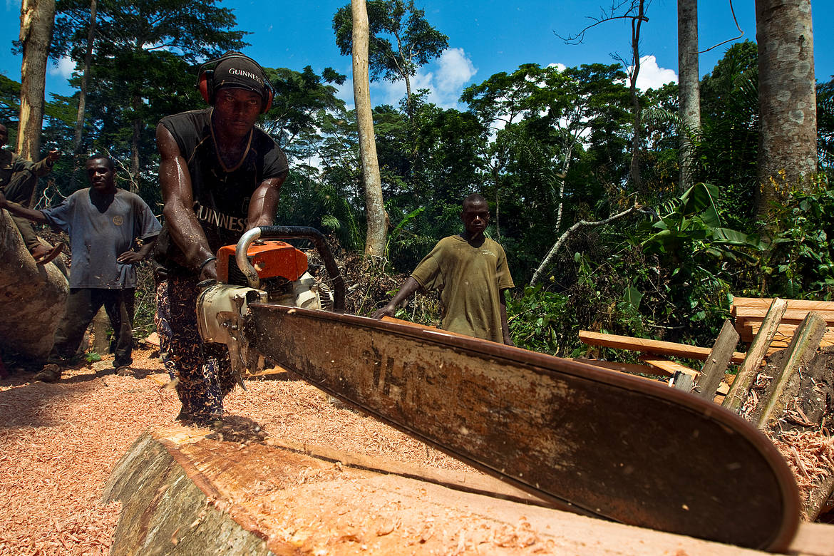 Community forest useful tool for poverty alleviation | WWF South Africa