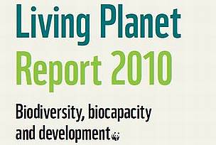 Living Planet Report lends urgency to SA's sustainability efforts | WWF ...