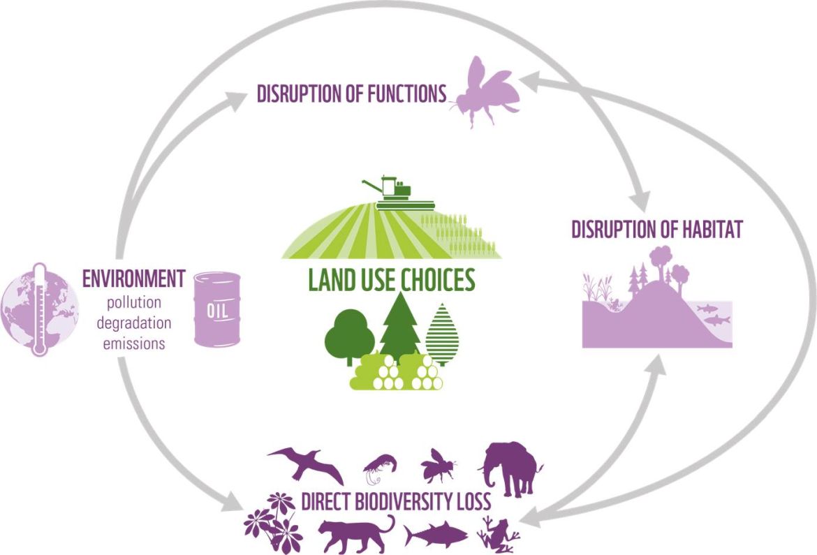 There is nothing natural about nature’s steep decline | WWF South Africa