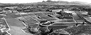 Sutherland Vineyards | WWF South Africa