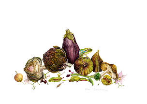 Join WWF for a Fynbos Feast | WWF South Africa