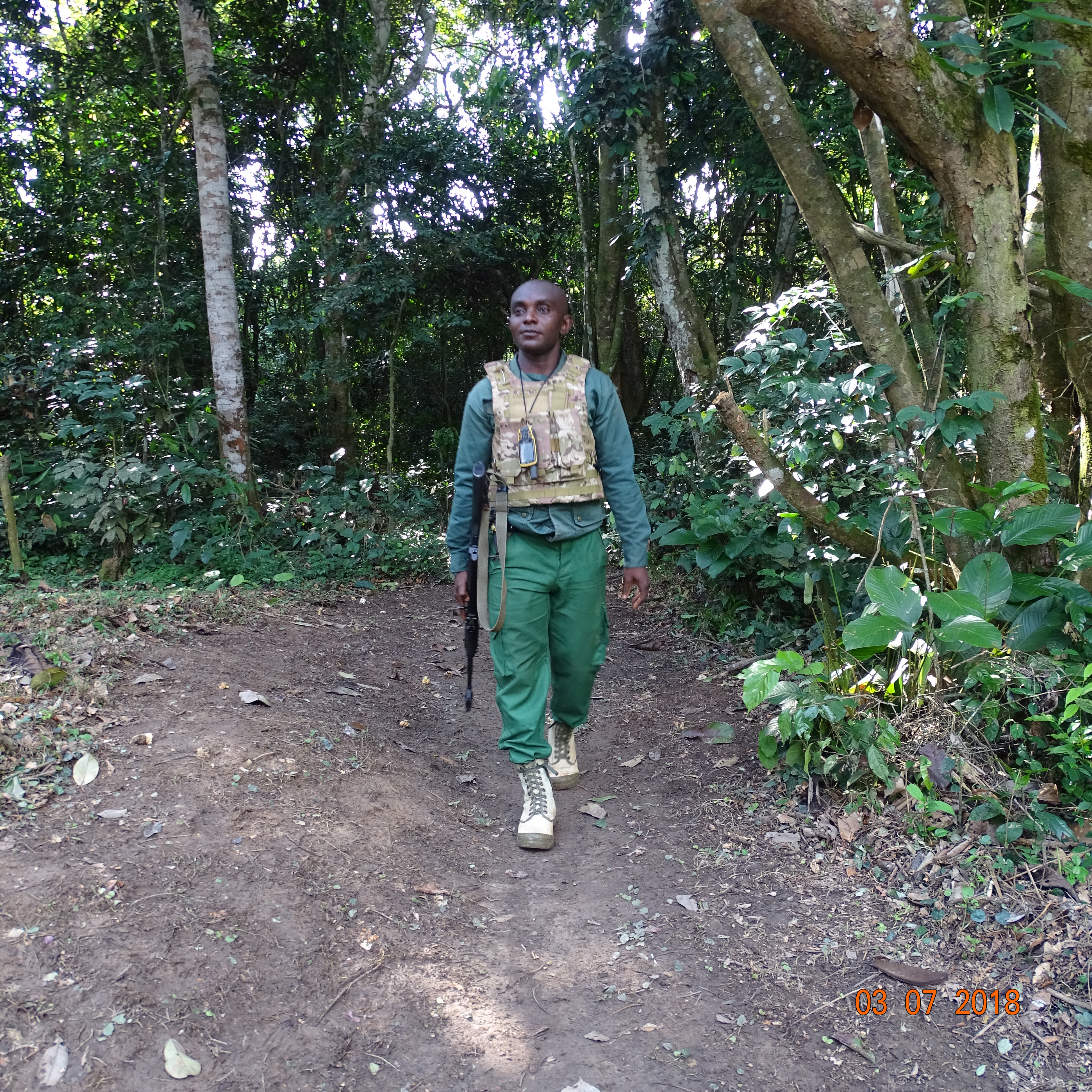 Largest ever survey on wildlife rangers unearths severe lack of basic ...