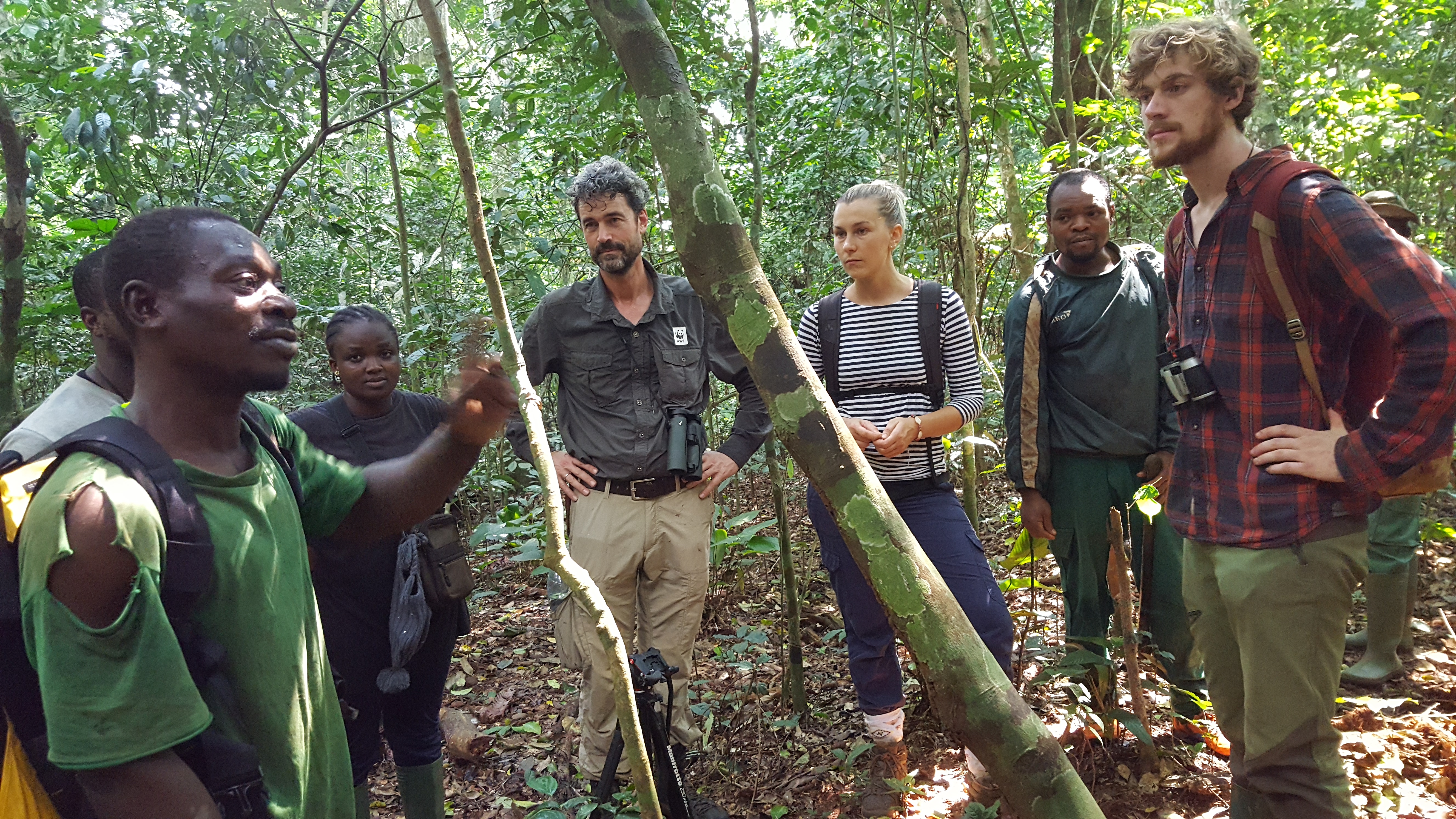 Biomonitoring: In the footsteps of the indigenous Baka | WWF Cameroon