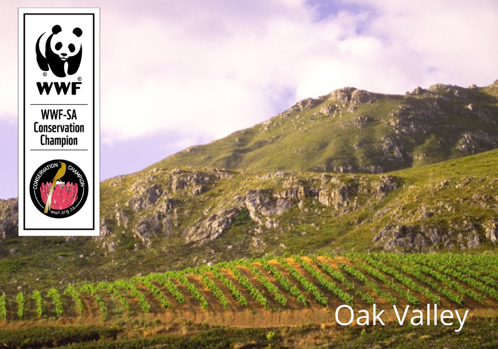Oak Valley Wines | WWF South Africa