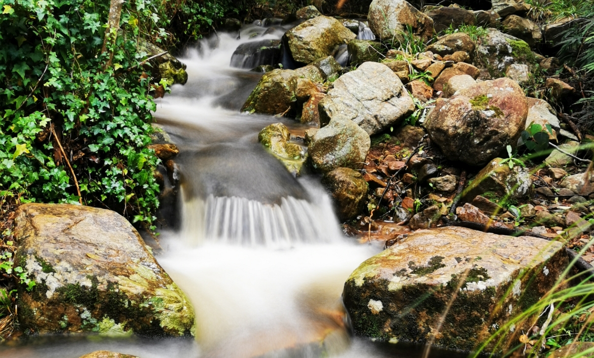 Cape Town’s groundwater under the spotlight | WWF South Africa