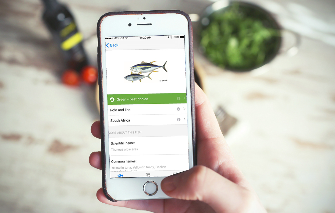 20 years of “sass” behind a savvy homegrown initiative | WWF South Africa