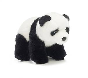 Get into WWF gear – online! | WWF South Africa
