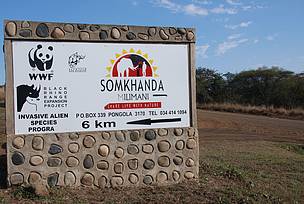 This World Environment Day, can the sum of our actions be ZERO? | WWF ...