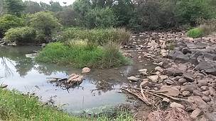 New report unpacks the 'State of our Nation's Water' | WWF South Africa